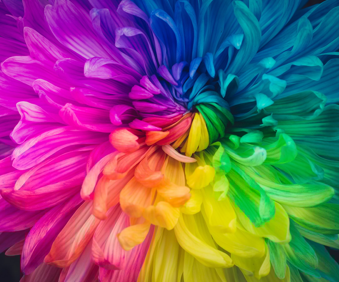 Vægmaling i Farver I Køb maling online her!